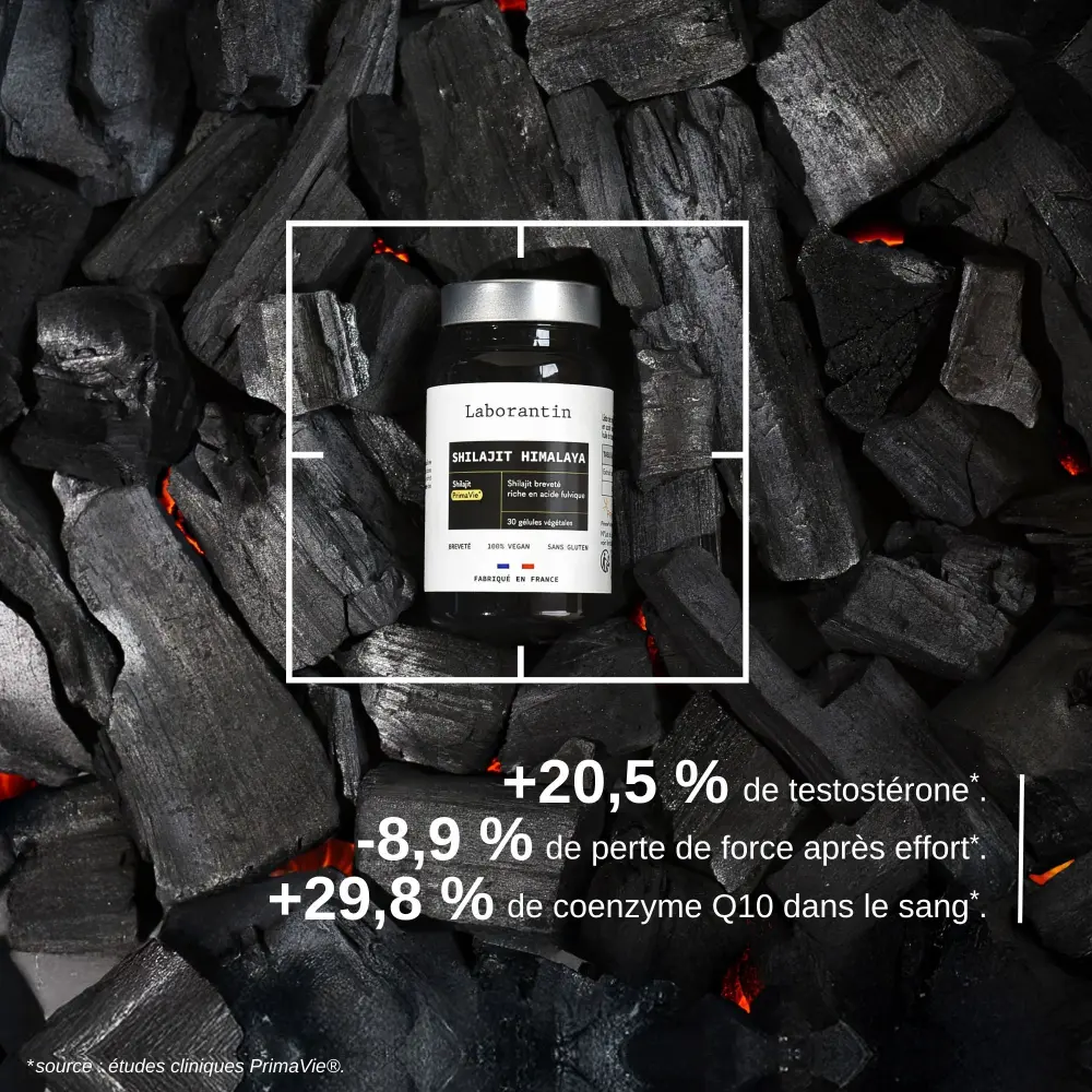 Shilajit Himalaya - Tonus & énergie